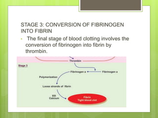 BLOOD COAGULATION + BLOOD GROUP.pptx