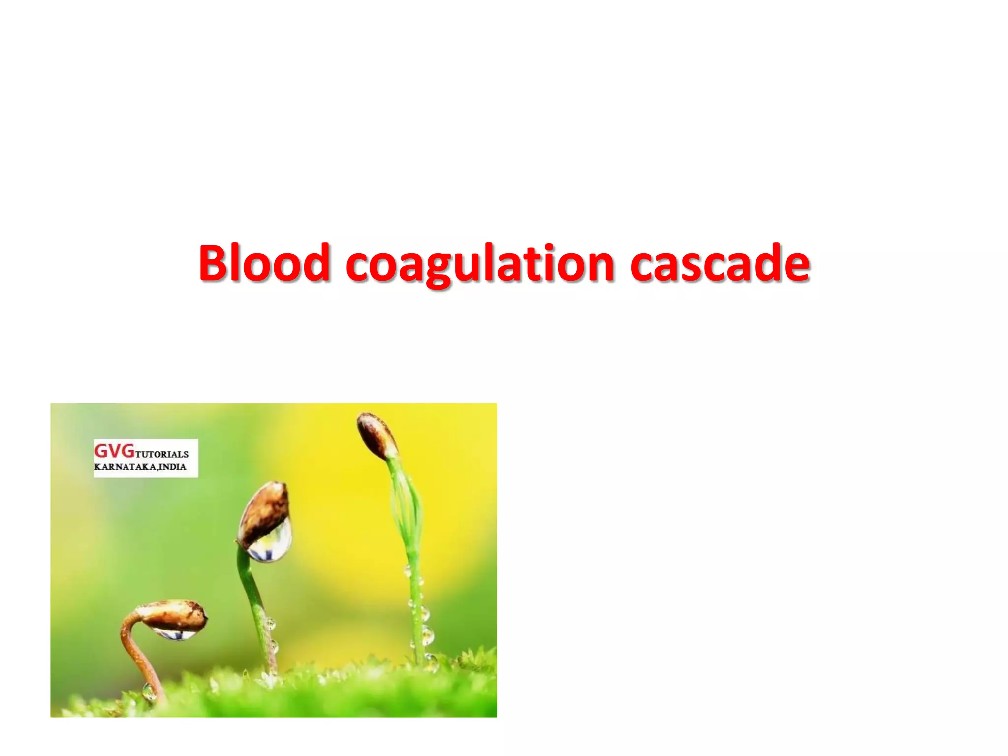 Blood coagulation cascade | PPTX