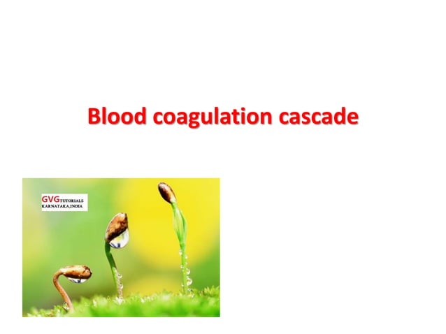 Blood coagulation cascade | PPTX