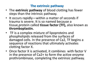 Blood coagulation cascade | PPTX