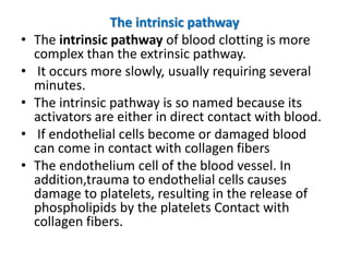 Blood coagulation cascade | PPTX