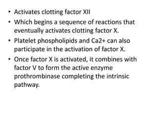 Blood coagulation cascade | PPTX