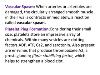 Blood coagulation cascade | PPTX