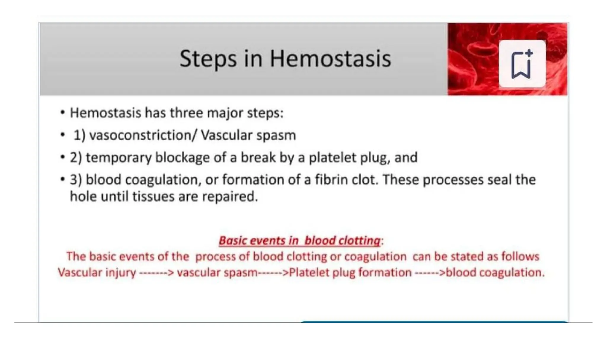 A Detailed Overview of the Blood Coagulation Process: Mechanisms ...