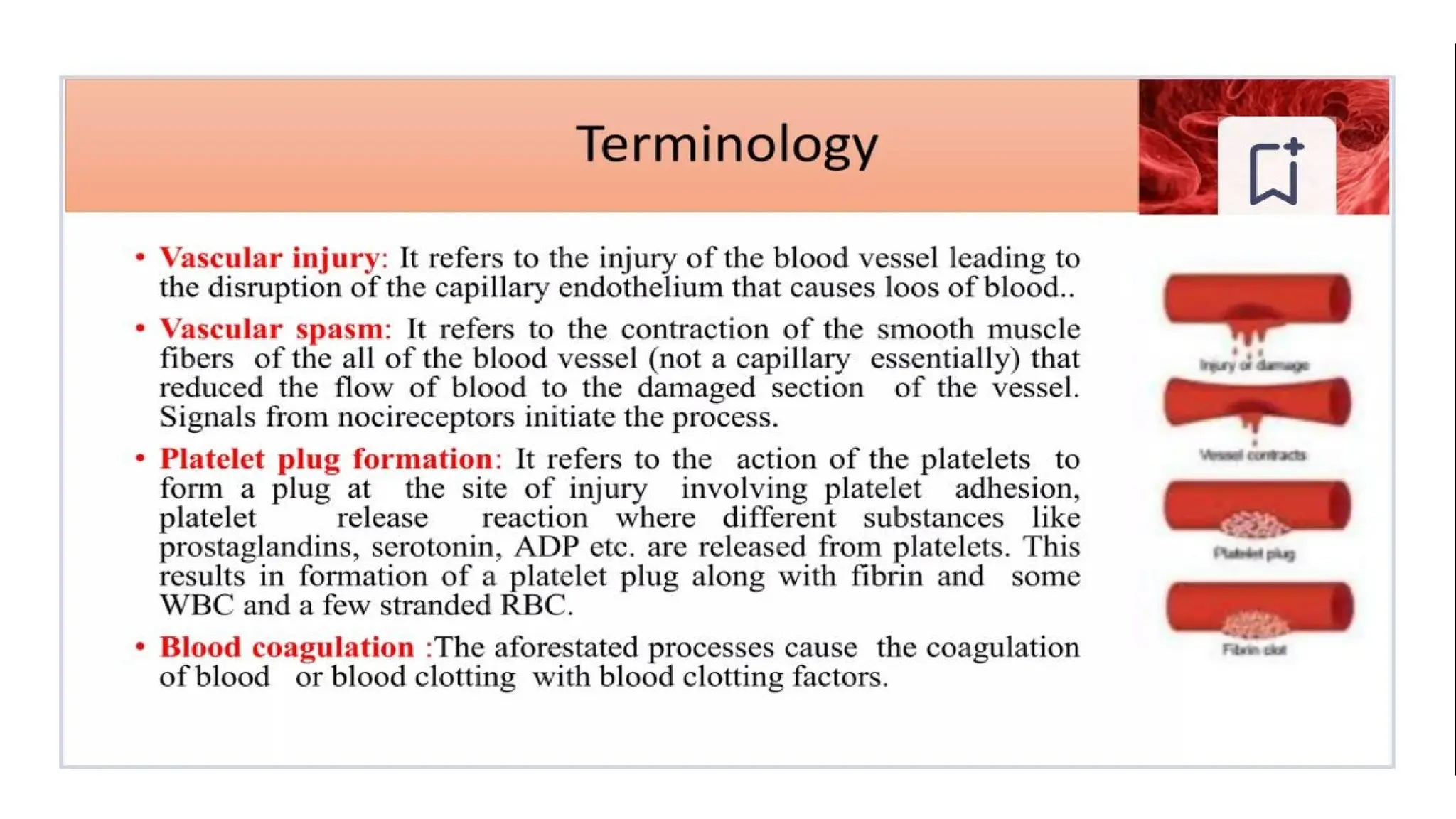 A Detailed Overview of the Blood Coagulation Process: Mechanisms ...