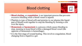 A Detailed Overview of the Blood Coagulation Process: Mechanisms ...