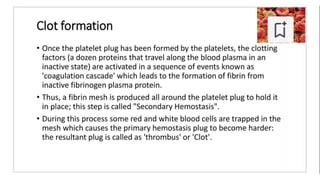 A Detailed Overview of the Blood Coagulation Process: Mechanisms ...