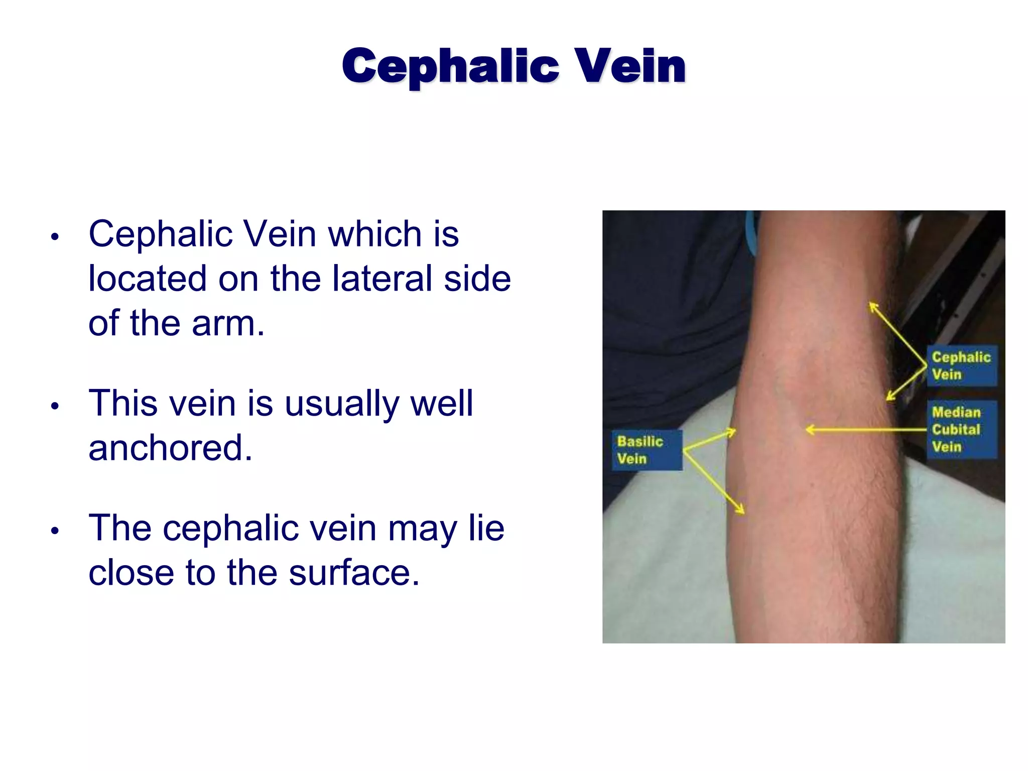 BLOOD COLLECTION.ppt