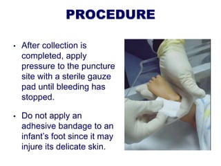 BLOOD COLLECTION.ppt