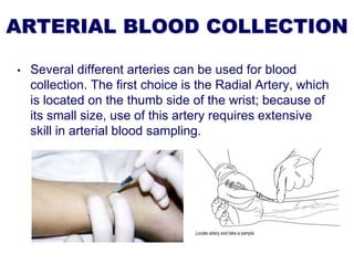 BLOOD COLLECTION.ppt