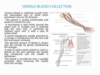 Blood collection and its types | PPT