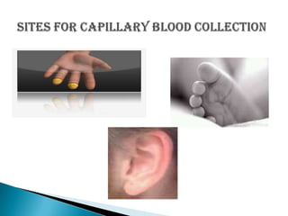 Blood collection and preservation | PPTX