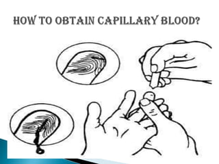 Capillary Collection Procedure