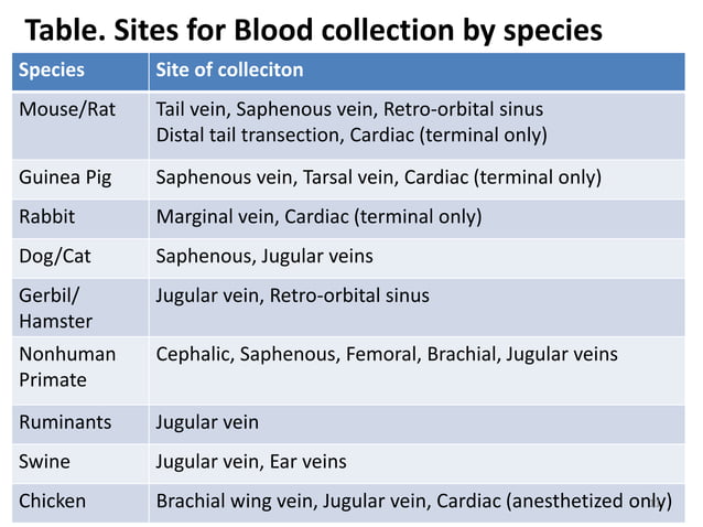 Blood collection, Anesthesia and Euthanasia techniques in laboratory ...
