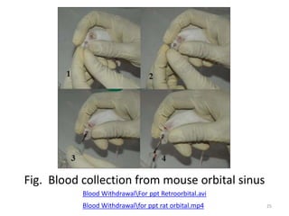Blood collection, Anesthesia and Euthanasia techniques in laboratory ...
