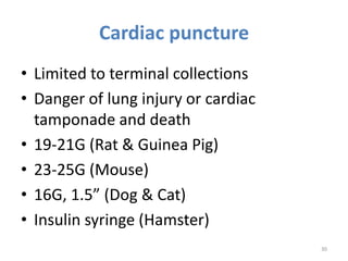 Blood collection, Anesthesia and Euthanasia techniques in laboratory ...