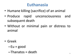 Blood collection, Anesthesia and Euthanasia techniques in laboratory ...