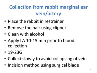 Blood collection, Anesthesia and Euthanasia techniques in laboratory ...