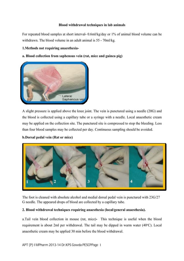 Blood collection in small animals and blood processing | PDF | Blood ...