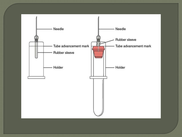 Blood collection, precautions to prevent hemolysis and | PPTX | First ...
