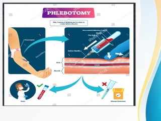 Blood Collection Procedures undergraduate MBBS 2.pptx