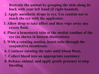 Blood collection techniques | PPTX