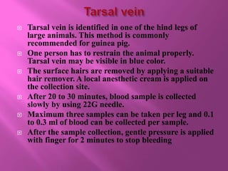 Blood collection techniques | PPTX