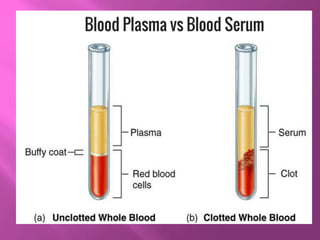 Blood collection techniques | PPTX