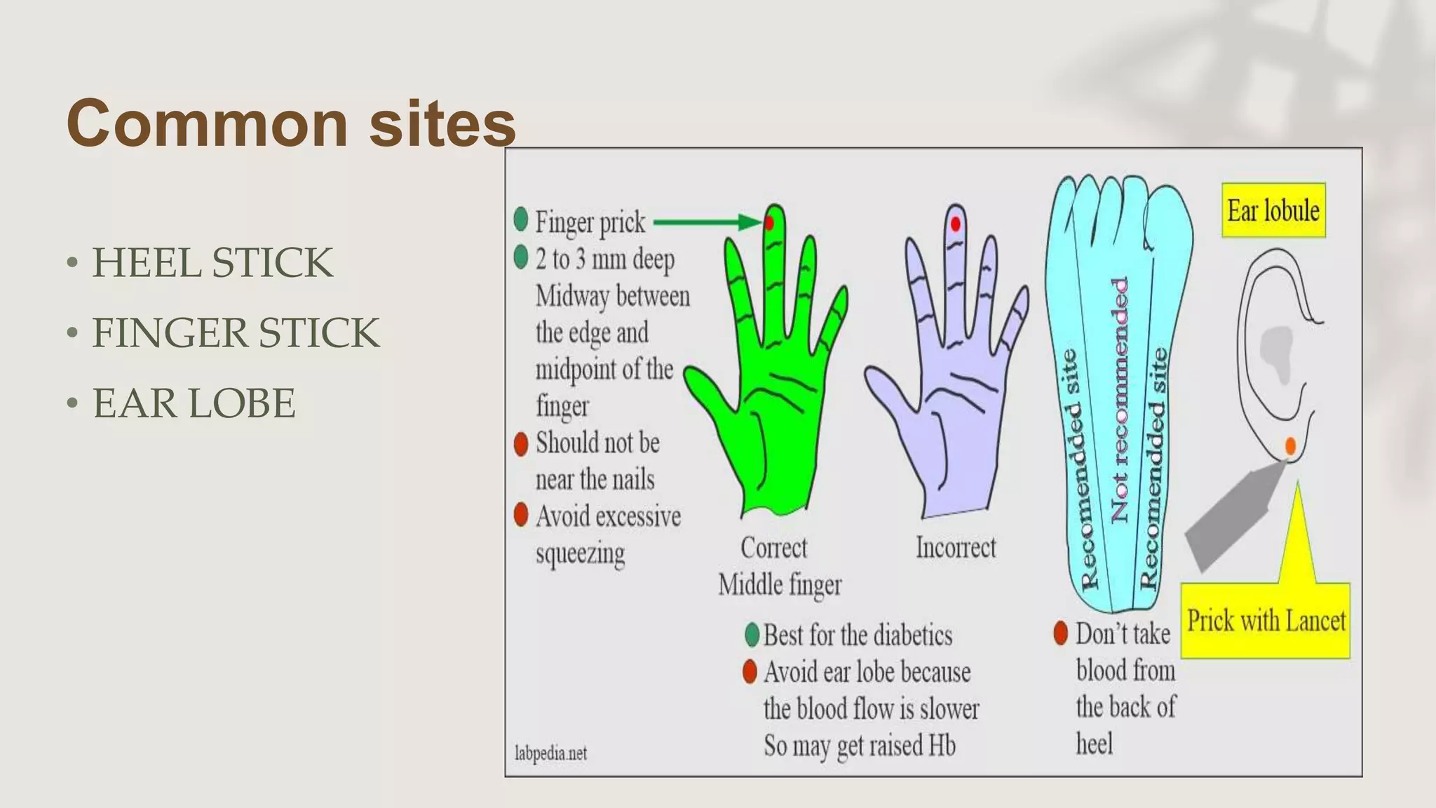 BLOOD COLLECTION TECHNIQUES.pptx