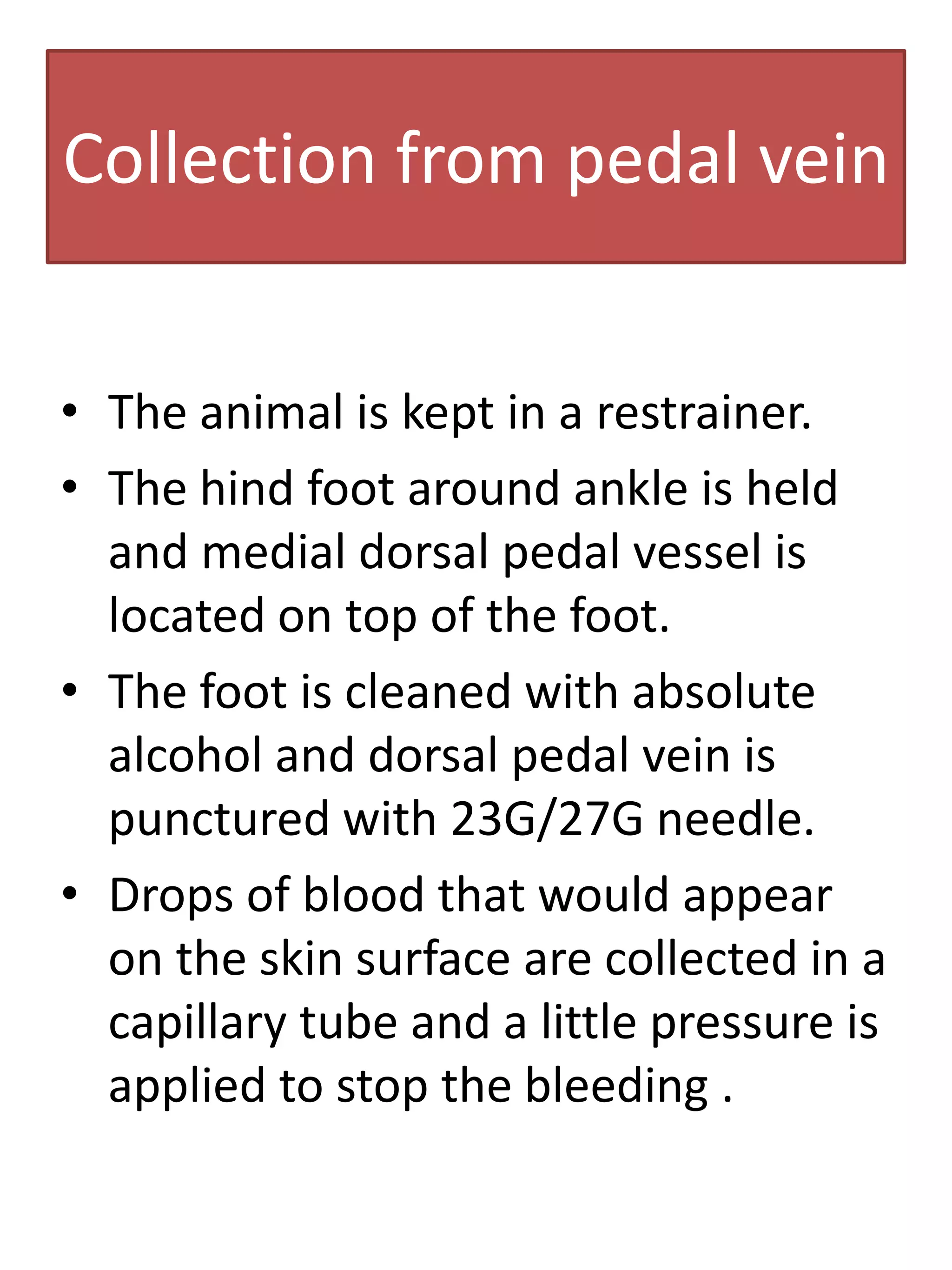 Blood collection techniques from laboratory animals | PPTX