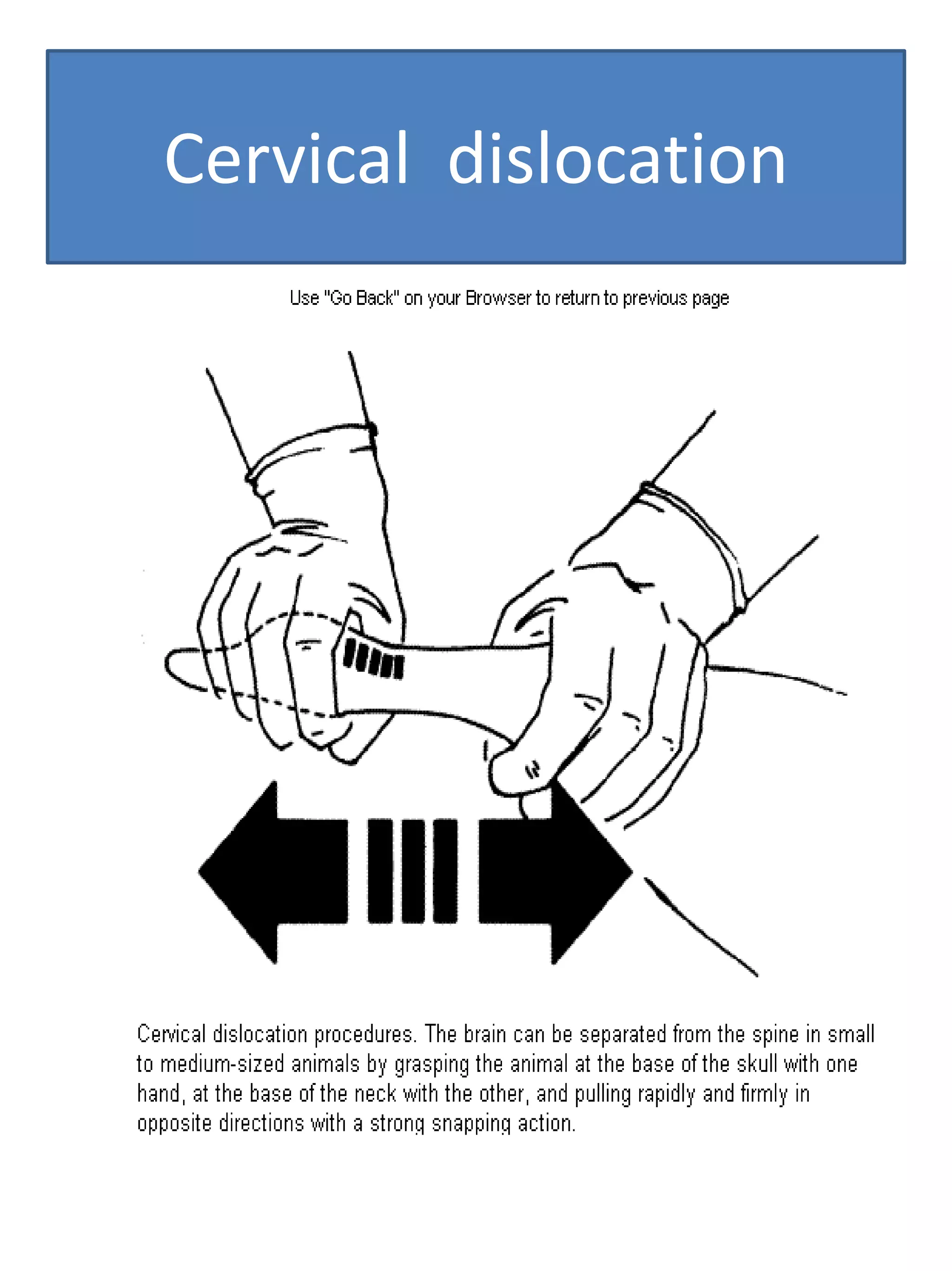 Blood collection techniques from laboratory animals | PPTX