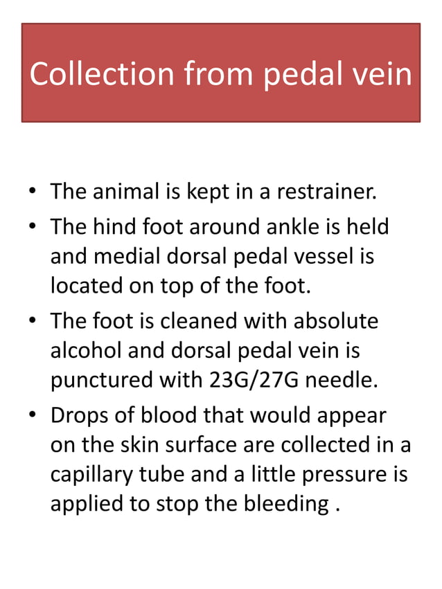 Blood collection techniques from laboratory animals | PPTX | Blood ...