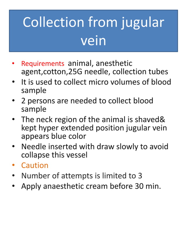 Blood collection techniques from laboratory animals | PPTX | Blood ...