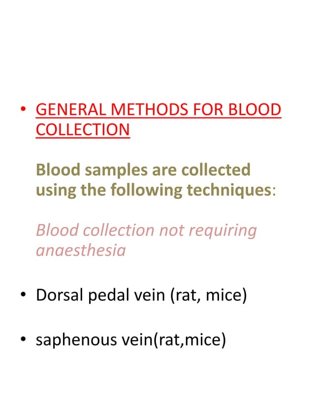 Blood collection techniques from laboratory animals | PPTX | Blood ...