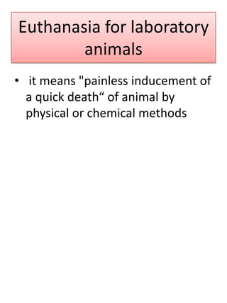 Blood collection techniques from laboratory animals | PPTX