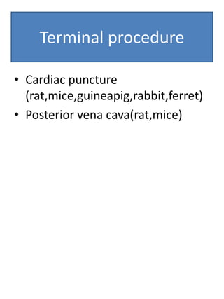 Blood collection techniques from laboratory animals | PPTX
