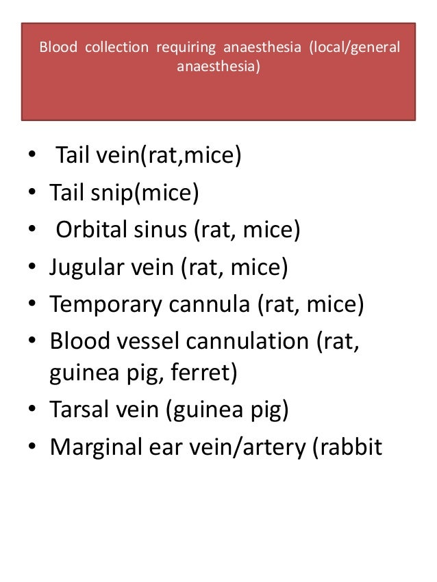 Blood collection techniques from laboratory animals