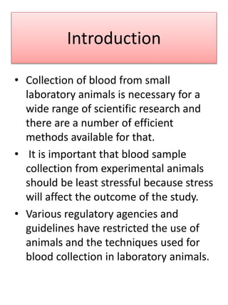 Blood collection techniques from laboratory animals | PPTX