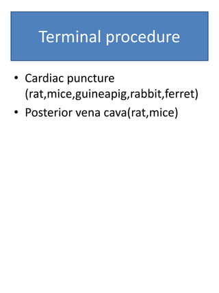 Blood collection techniques from laboratory animals | PPTX
