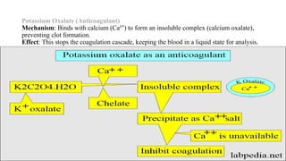 Blood Collection Vials 1.pptx ayurveda is a great science | PPT