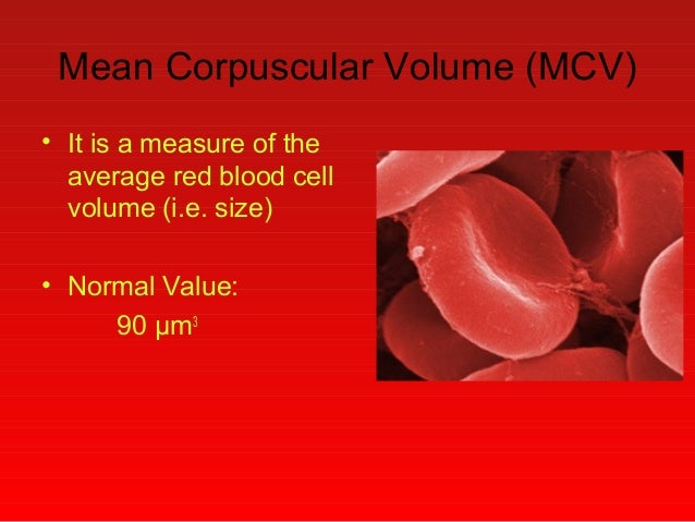 Blood complete picture