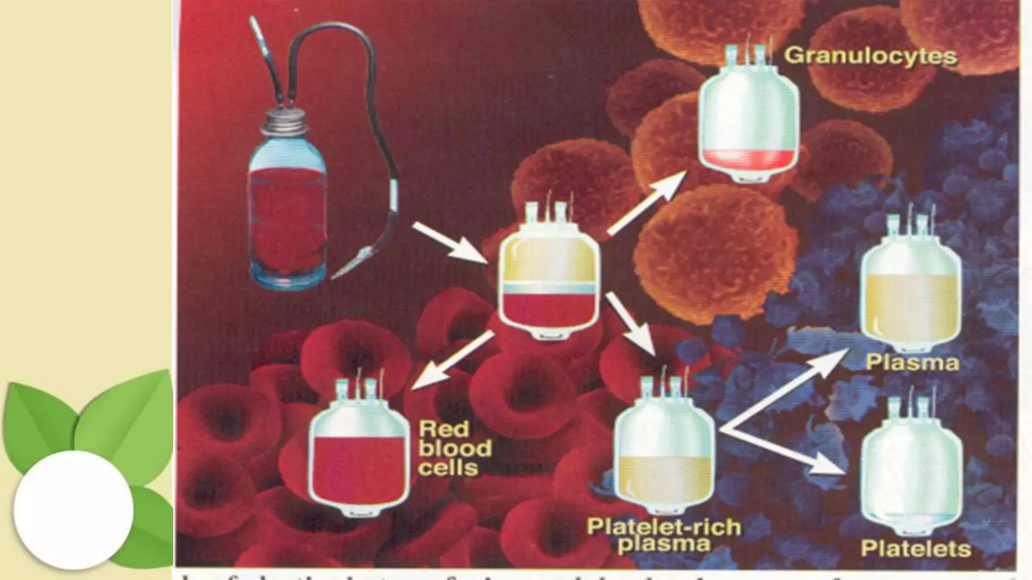 Blood component | PPTX