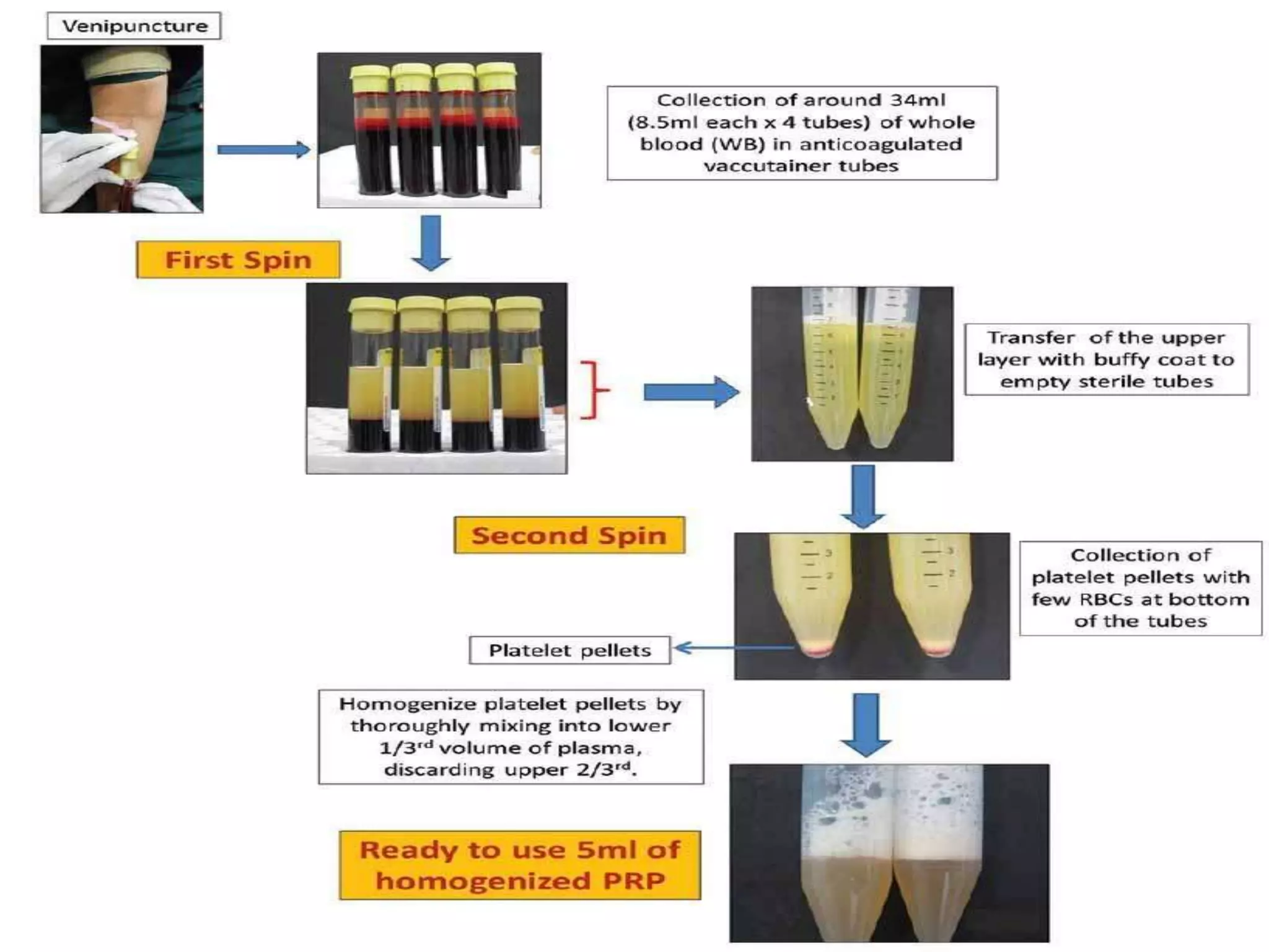 Blood component processing & | PPTX