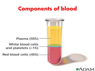 Blood component processing & | PPTX