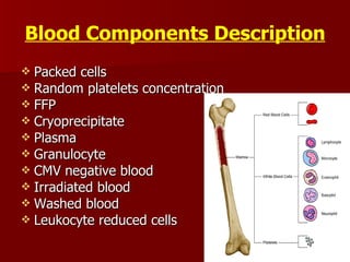 Blood Components | PPT