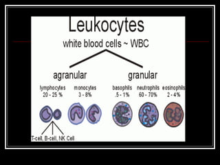 Blood components | PPT