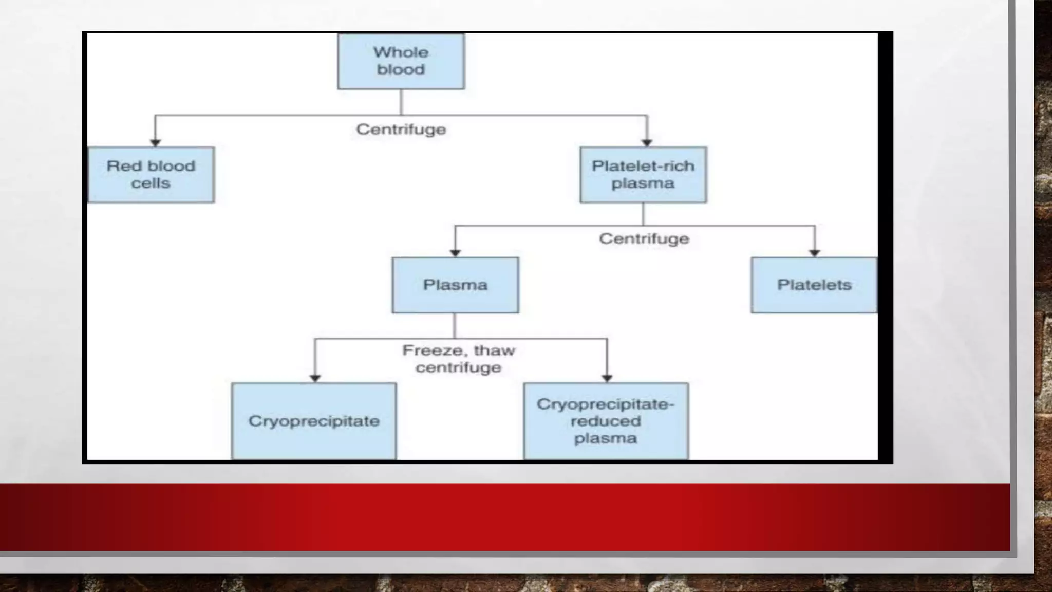 Blood components | PPTX