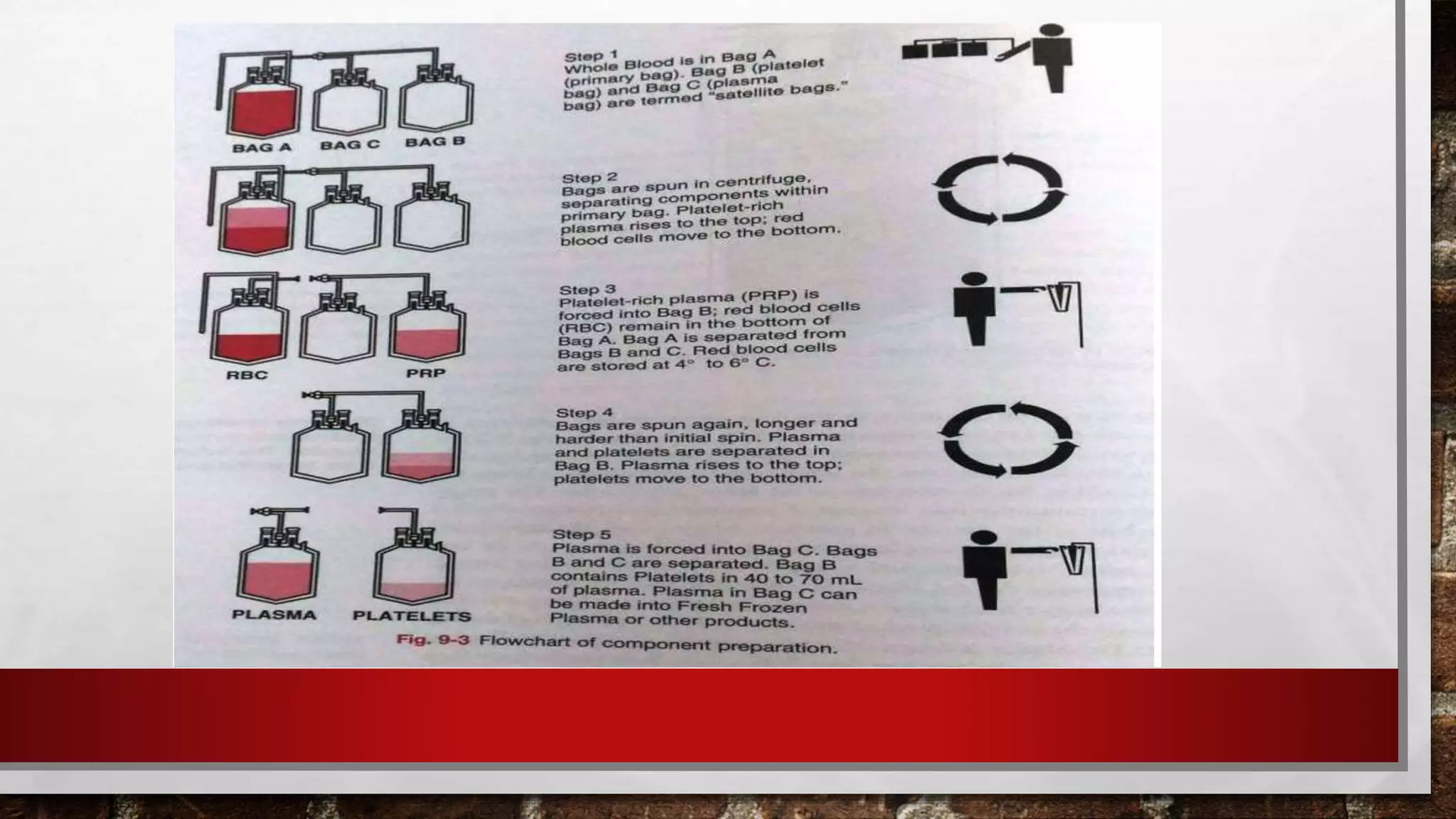 Blood components | PPTX