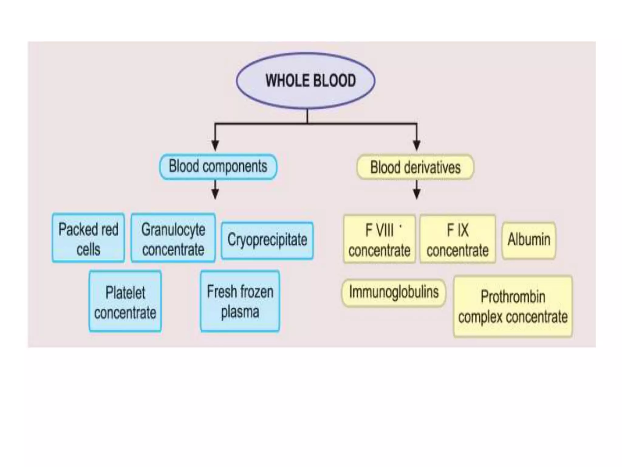 blood components.pptx
