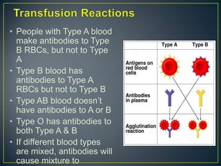 Blood components and transfusion reactions | PPSX